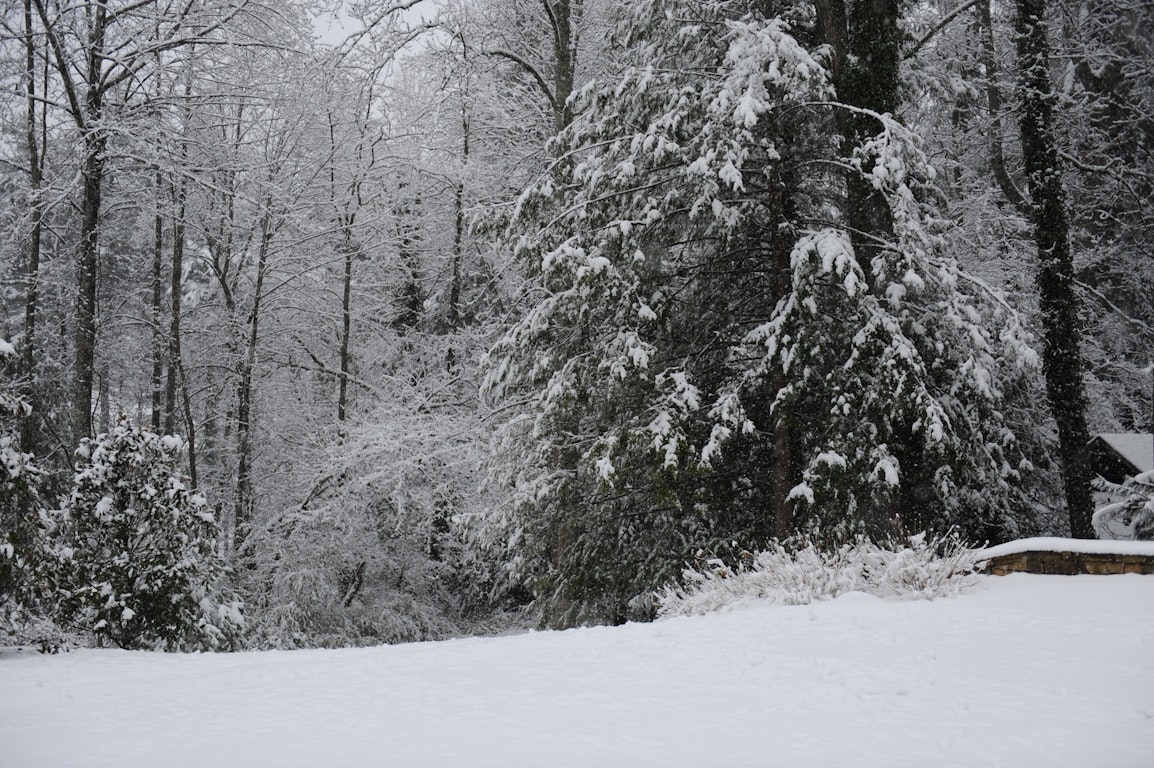 SNOW!!! - Camp Greystone News