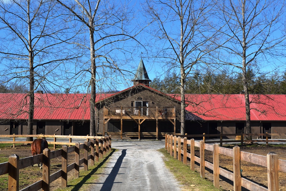 10 Reasons To Come Down To The Barn! - Camp Greystone News