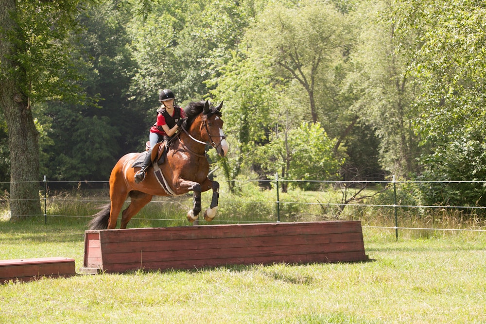 Finn - Camp Greystone News