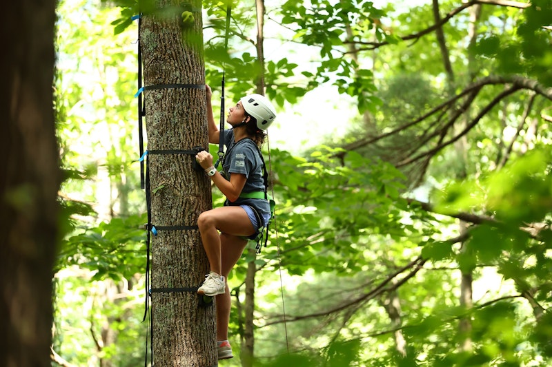 July 12 2025 - Camp Greystone News