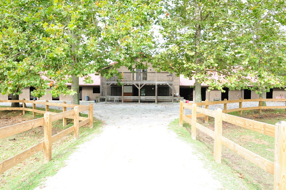 Updates - Camp Greystone News