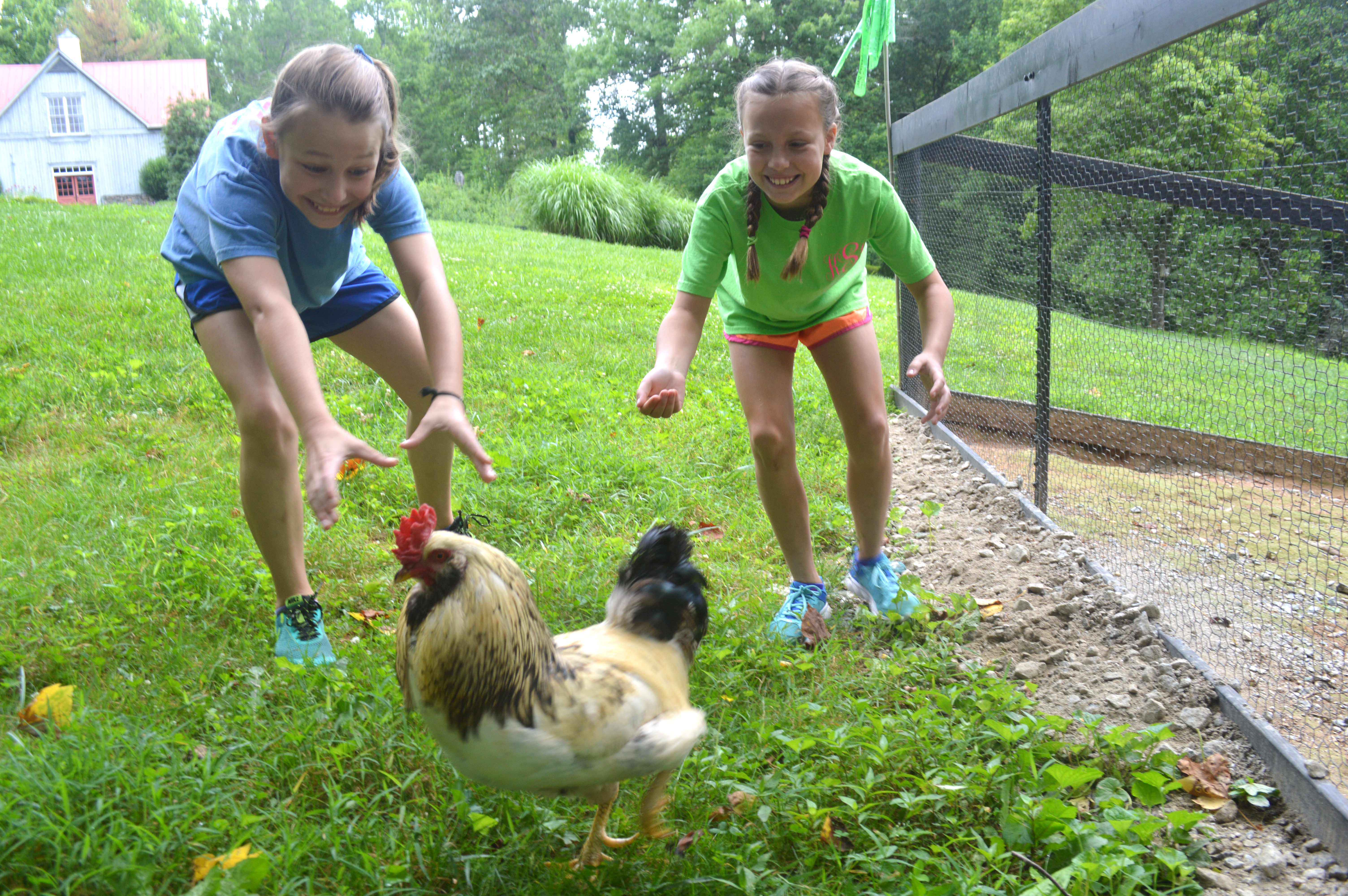 Explore Greystone, dining hall panorama and map of camp