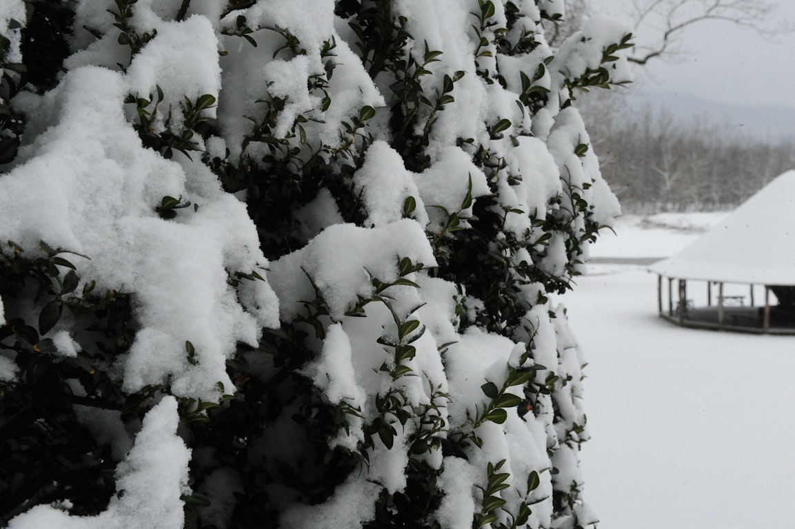 Snow... Again - Camp Greystone News