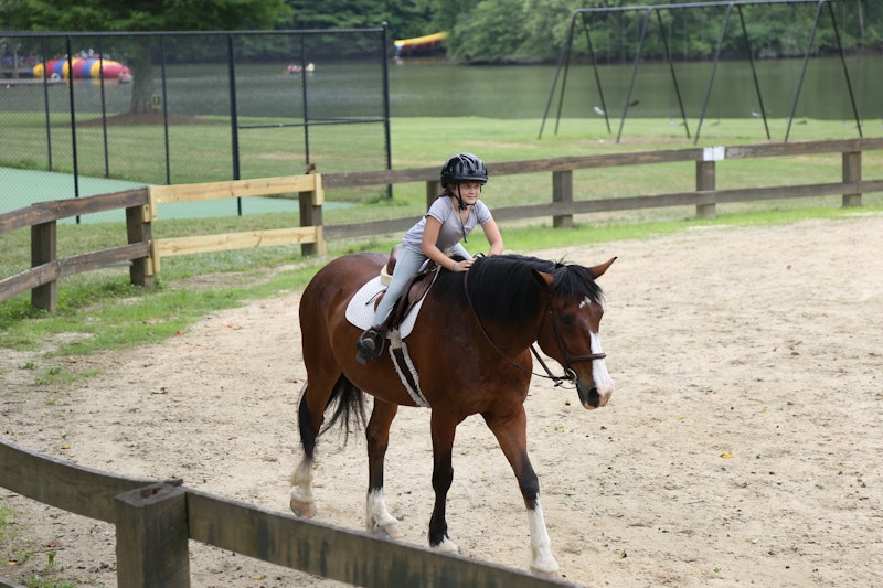 Girls and Horses - Camp Greystone News