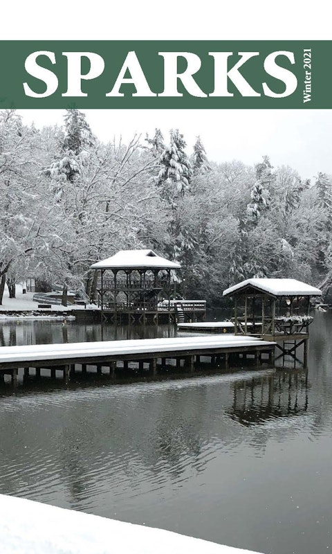 - Camp Greystone News