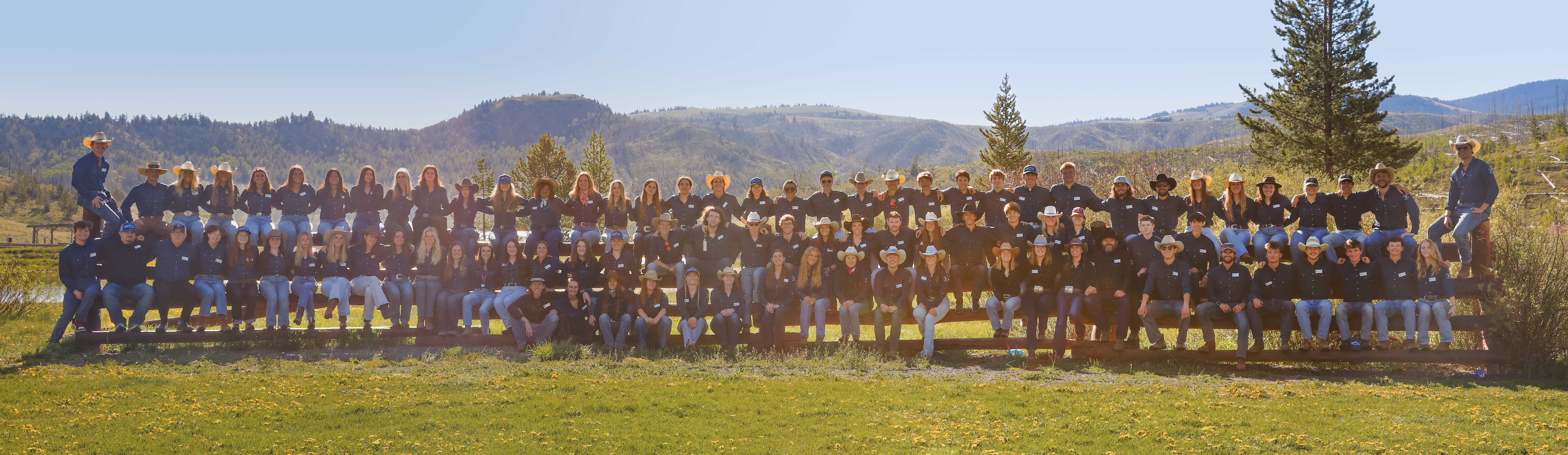 Summer Jobs at TVRC!