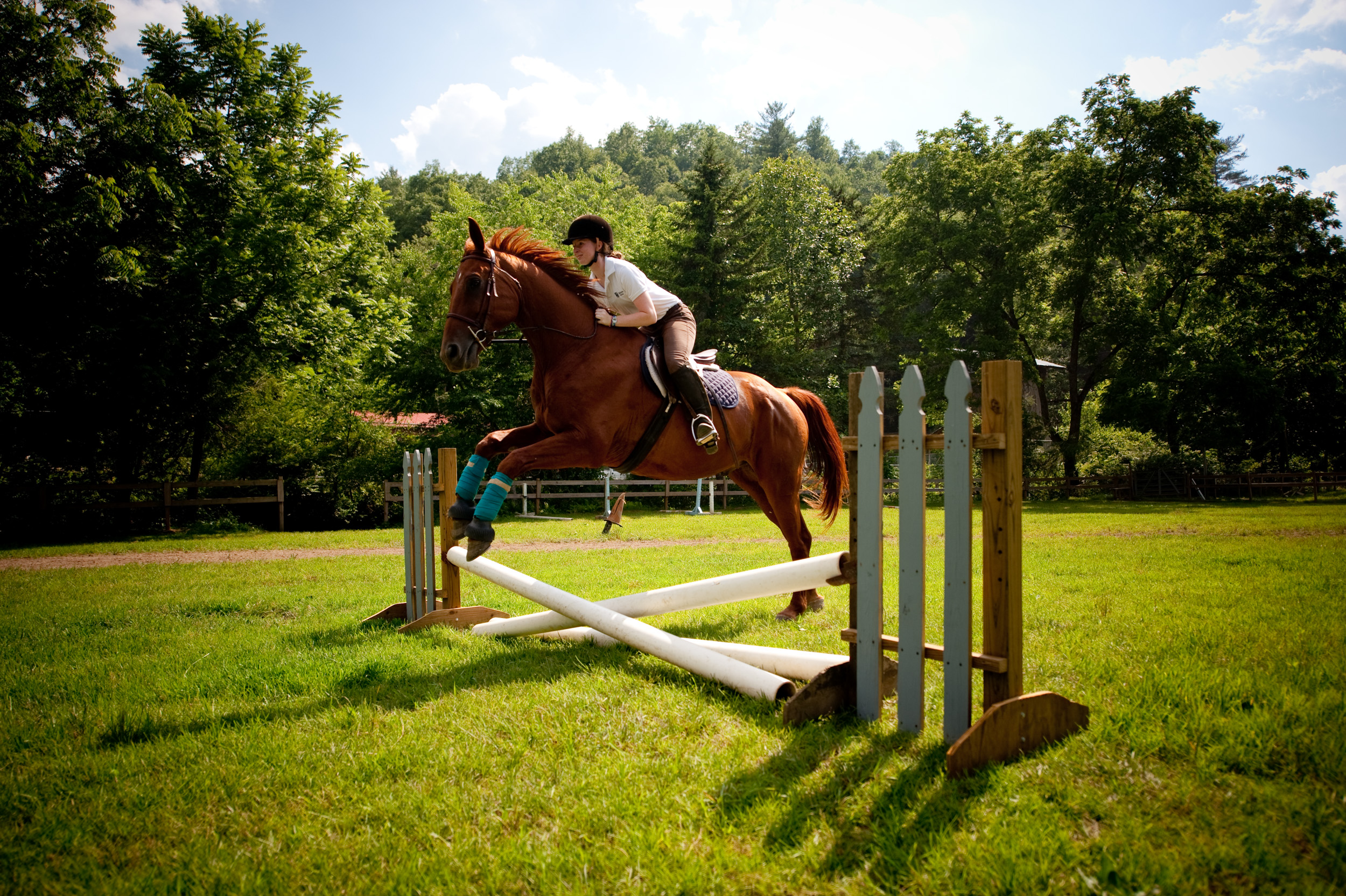 Horseback Riding Summer Camp - Keystone, Best in Western NC!