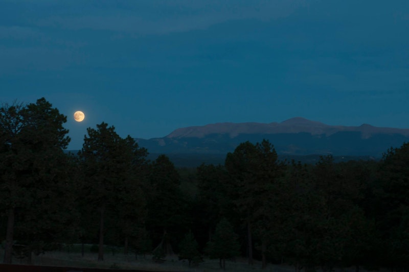 COEC Commitment Statement