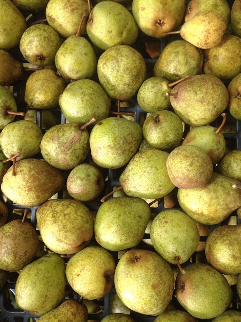 Pears at Windy Hill