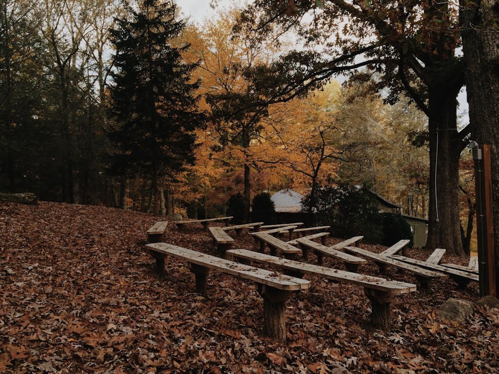 The Magic of Fall on Old Forge Mountain