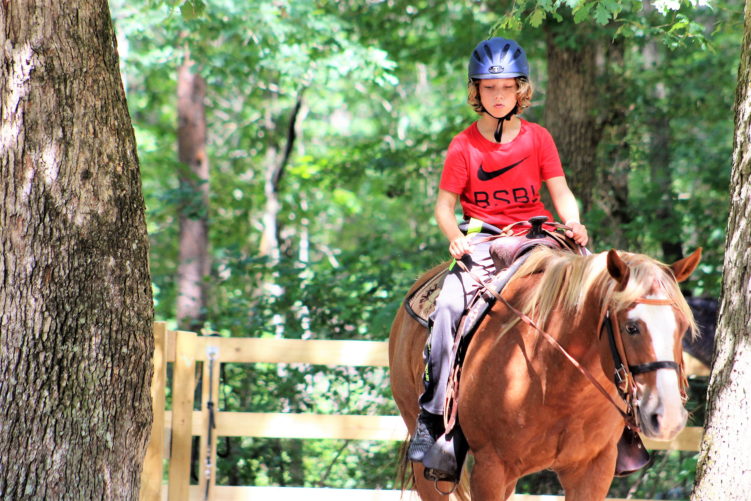 Camp Laney's traditional overnight camp activities include archery ...