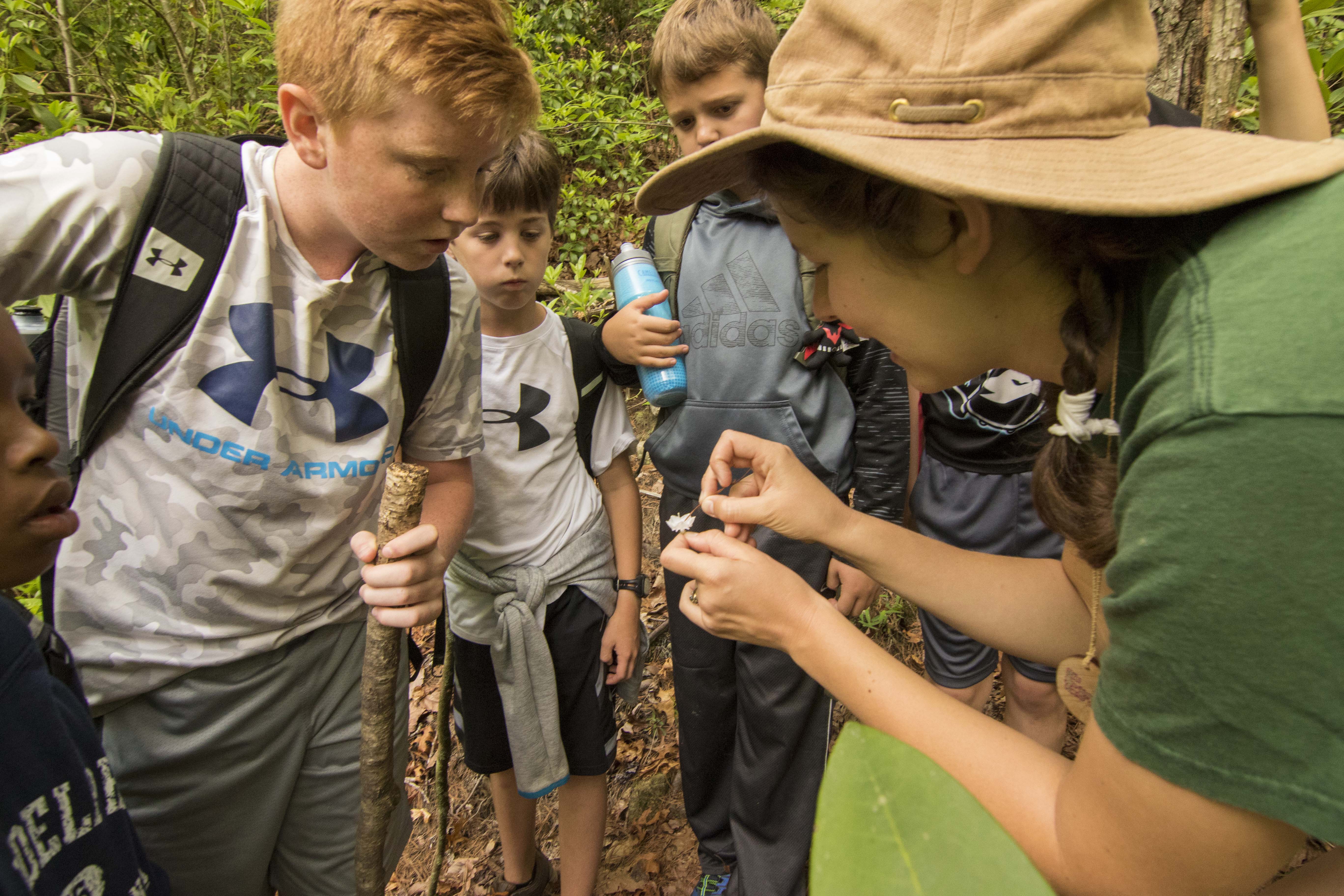 Overnight Summer Camp Creating Joyful Connections to Nature