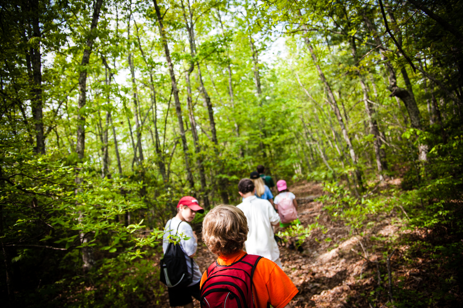 Hands-On Environmental Learning for Schools - An Environment Camp